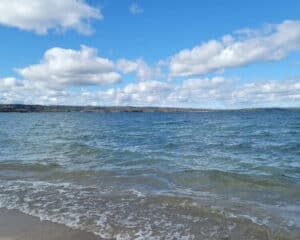 Suttons Bay MI: Ultimate Guide - My Michigan Beach and Travel