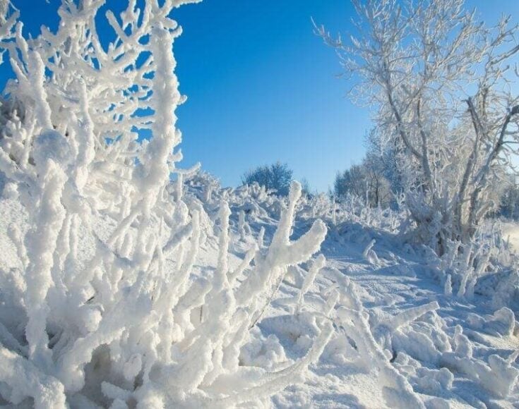 15 Unique Michigan Winter Getaways for 2025 with MAP - My Michigan ...