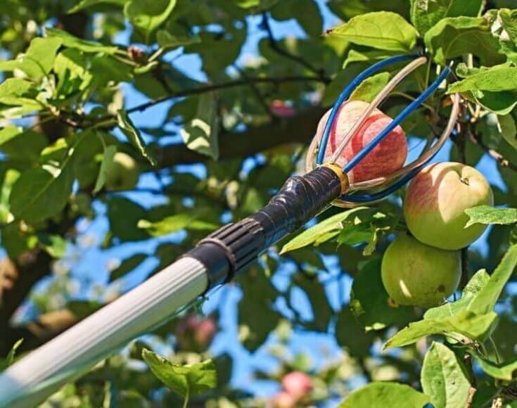 U Pick Michigan: 20 Michigan U-Pick Farms to Pick Your Own Fruits and ...