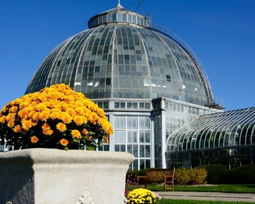 Detroit Zoo Guide: 15 TOP Things to See | My Michigan Beach and Travel