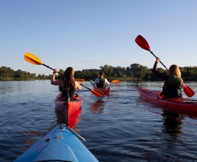 Grand Rapids Michigan: 30 Unique Things to See and Do (MAP) | My ...