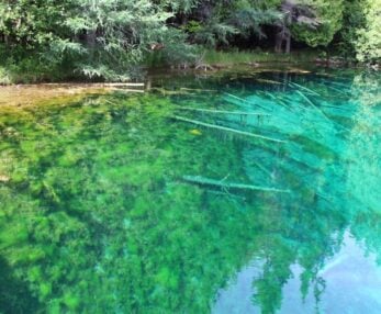 Kitch-iti-Kipi: What Most Guides Skip | My Michigan Beach and Travel