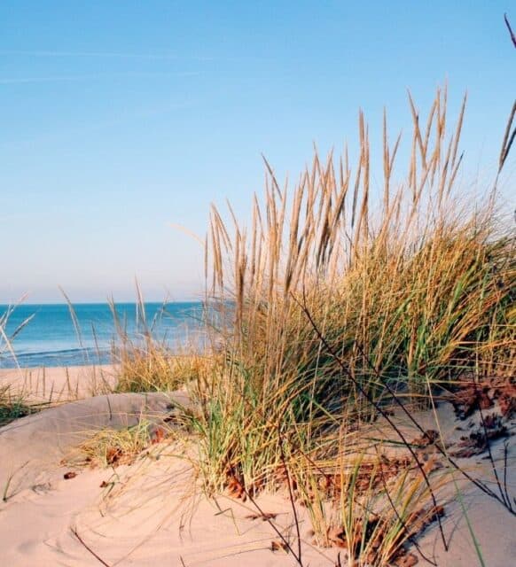 18 Best Lake Michigan Beach Towns to Visit in 2026 (Local's Guide)18 ...