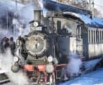 Michigan Christmas Trains: Polar Express & More | My Michigan Beach and ...