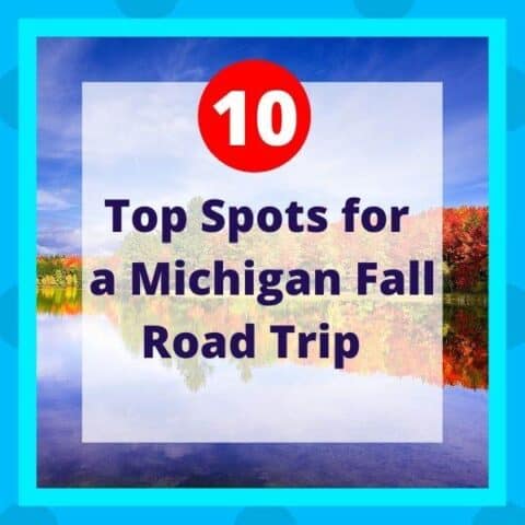 2023 Michigan Fall Color Map (UPDATED Latest Info) | My Michigan Beach ...