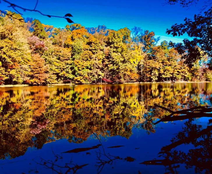 2023 Michigan Fall Color MAP See Peak Michigan Fall Color Change My 2023 Michigan Fall Color MAP See Peak Michigan Fall Color Change My