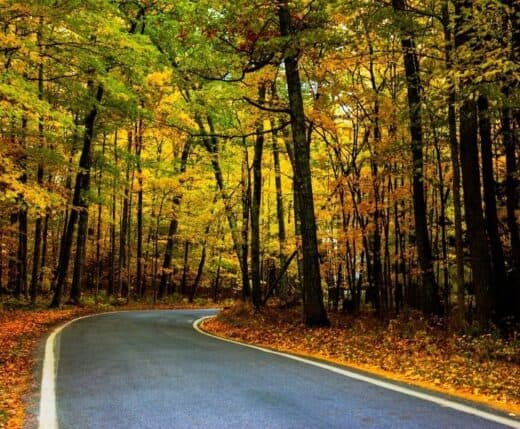 15 Best Scenic Drives in Michigan: Reviewed and Rated | My Michigan ...