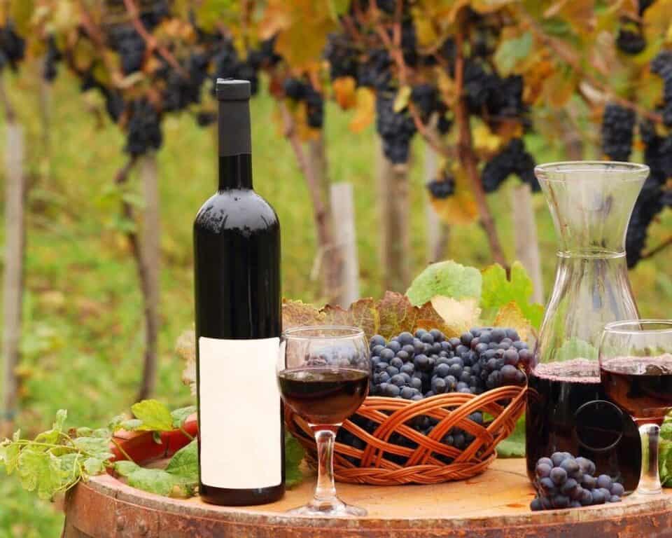 Ultimate Michigan Wineries Guide - My Michigan Beach and Travel