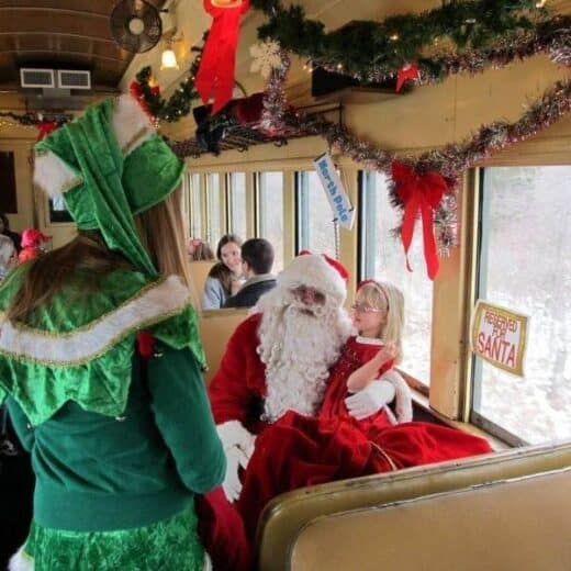 Michigan Christmas Trains: Polar Express & More | My Michigan Beach and ...