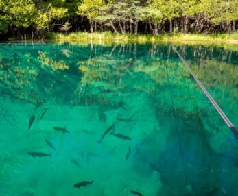 Kitch-iti-Kipi: What Most Guides Skip | My Michigan Beach and Travel