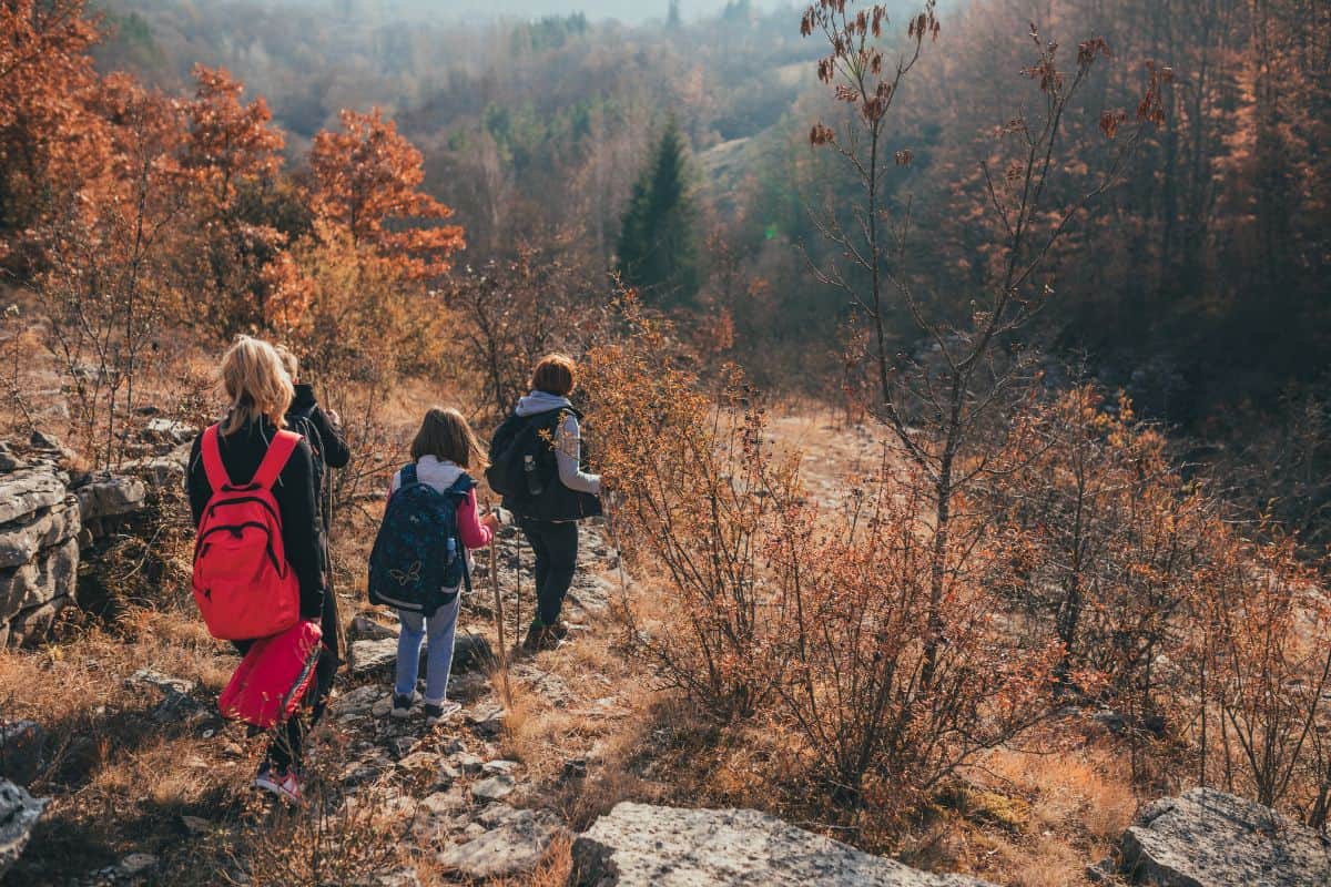AWESOME Michigan Fall Activities - My Michigan Beach and Travel