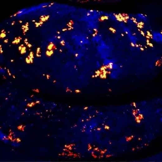 What Are Yooperlites? Updated Guide to Finding Michigan's Glowing Rock ...