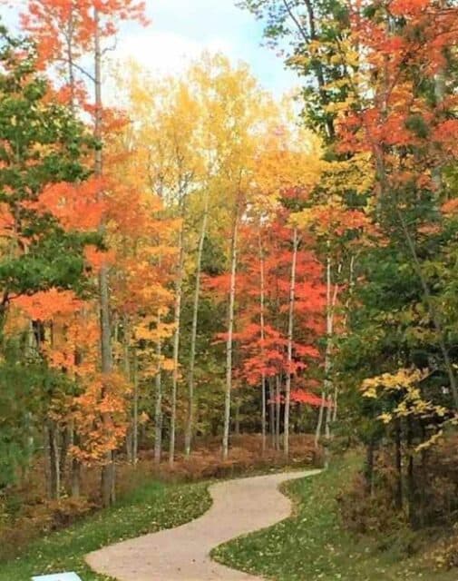 UPDATED 37 "Best" Places to See Michgan Fall Color in 2023 - My ...