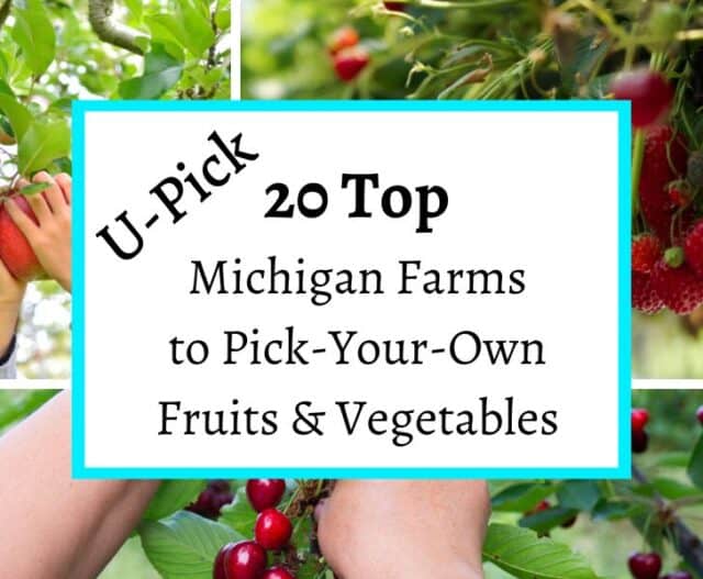 U Pick Michigan: 20 Michigan U-Pick Farms to Pick Your Own Fruits and ...