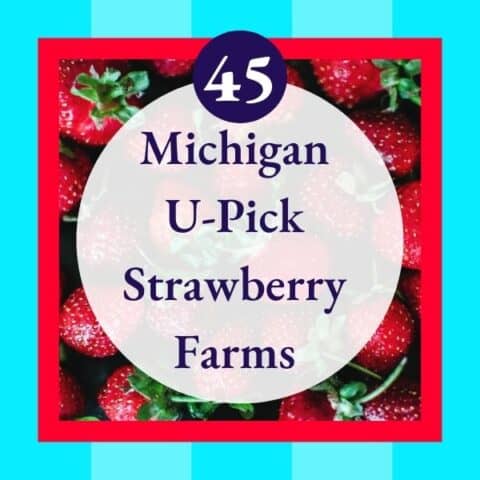 U Pick Michigan: 20 Michigan U-Pick Farms to Pick Your Own Fruits and ...