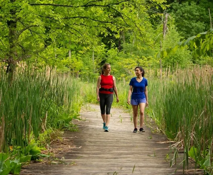 Kensington Metropark: Guide to Best Michigan Parks 2023 | My Michigan ...
