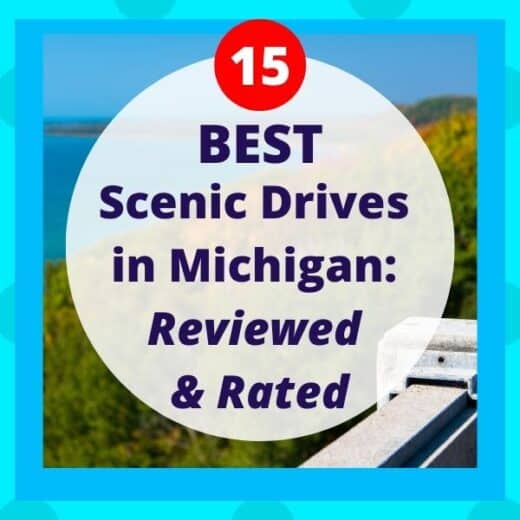 Best New Buffalo MI Wineries 2023 (Wine Tours, too) | My Michigan Beach and Michigan Travel