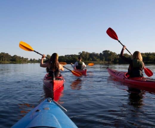 15 Best Kayaking Trips in Michigan (2026 Guide With Map) | My Michigan ...