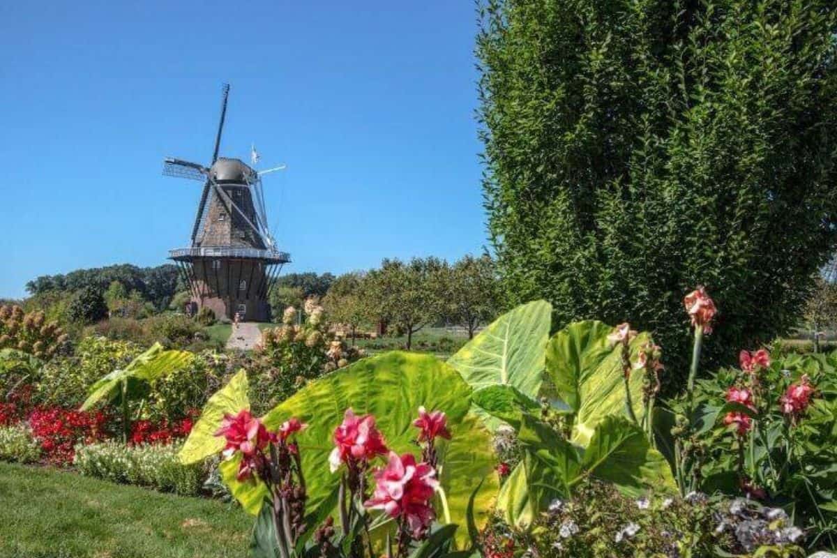 Discover Windmill Island Gardens in Holland MI: Travel Guide | My ...