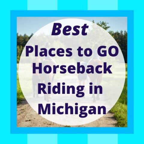 Kensington Metropark: Guide to Best Michigan Parks 2023 | My Michigan ...