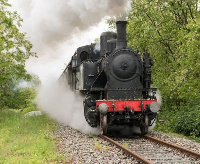 11 Top Michigan Fall Trains - My Michigan Beach and Travel