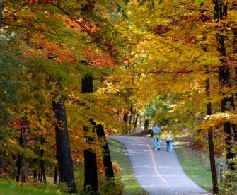 Top 15 Fall Things to Do in West Michigan (MAP) | My Michigan Beach and ...