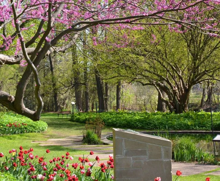 Things to Do at MSU: 22 Unique and Iconic Places at Michigan State ...