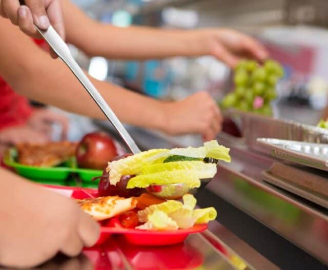 Things to Do at MSU: 22 Unique and Iconic Places at Michigan State ...