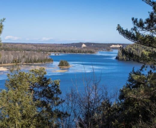 Michigan National Forests Utimate Travel Guide | My Michigan Beach and ...