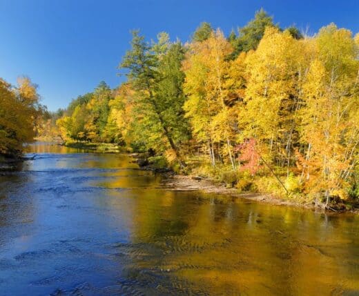 Michigan National Forests Utimate Travel Guide | My Michigan Beach and ...