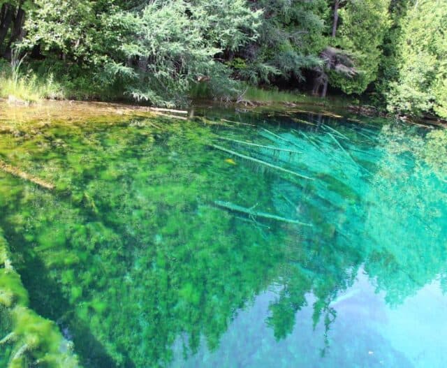 35+ Best Things to Do in Michigan in Spring: Blooming Adventures Await ...