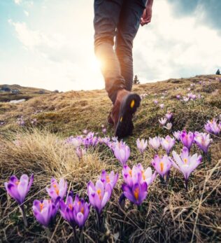 35+ Best Things to Do in Michigan in Spring: Blooming Adventures Await ...