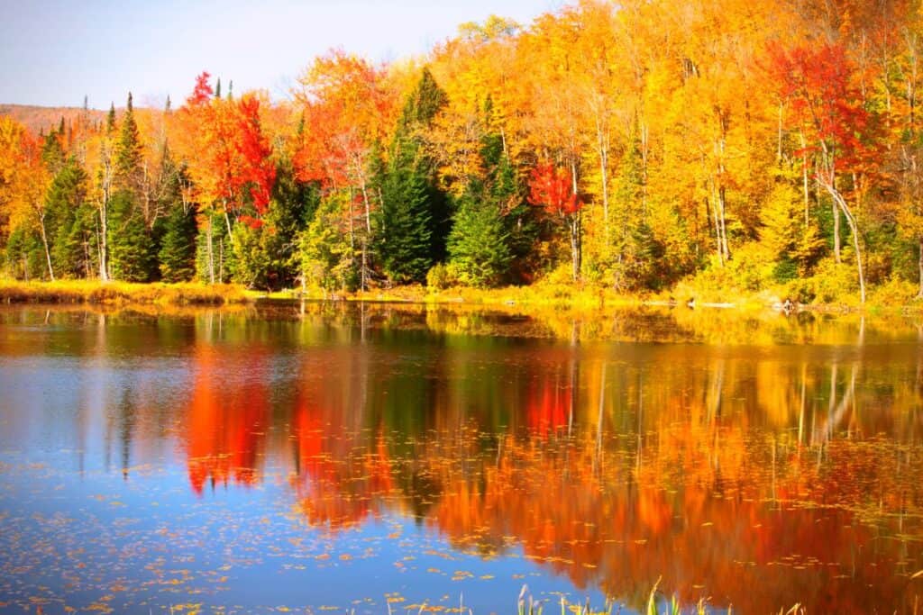 Michigan Fall Color: 33 Fun Travel Destinations | My Michigan Beach and ...