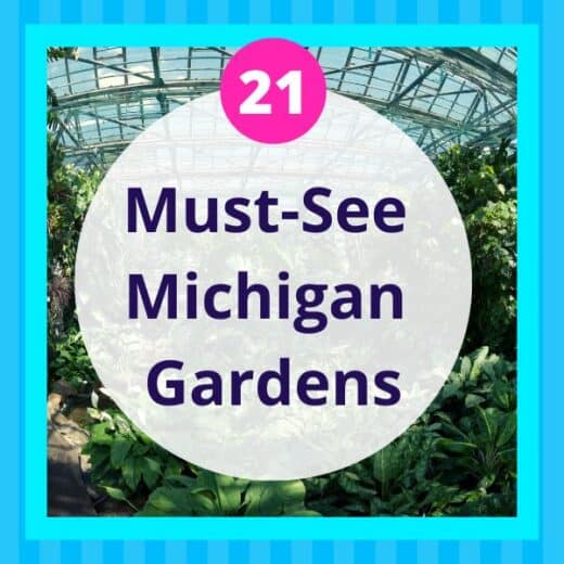 Ultimate Guide to Hidden Lake Gardens and Canopy Walk in Tipton, MI ...