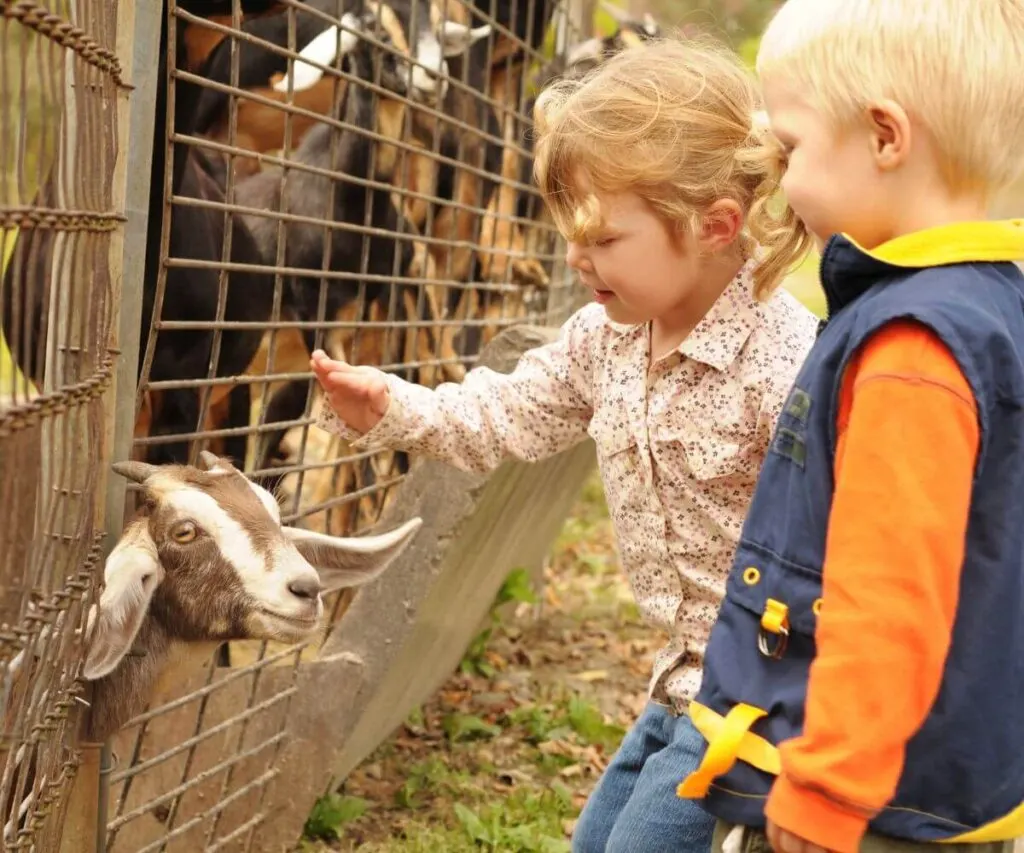 33 BEST Michigan Petting Zoos, Farms, Animal Sanctuaries (MAP) | My ...