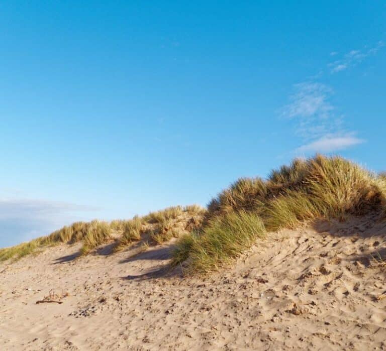 Ultimate Guide to Warren Dunes State Park | My Michigan Beach and Travel