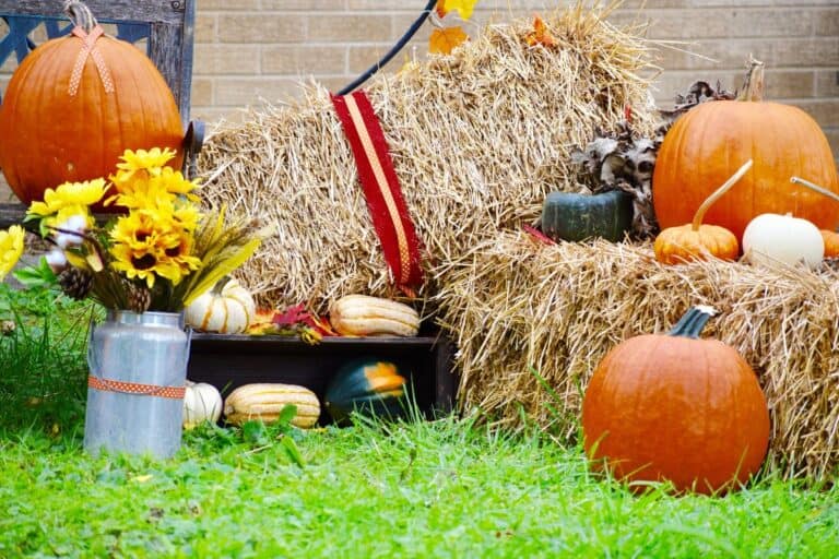 Best Fall Festivals in Michigan: 2025 Guide | My Michigan Beach and Travel