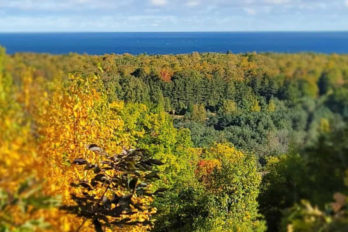 Michigan Peak Fall Color 2025: Where and When to See It - My Michigan ...