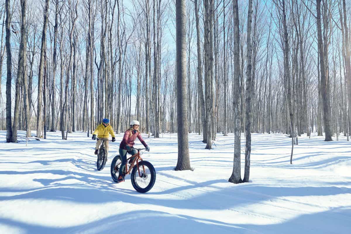 10 Best Michigan Winter Resorts and Hotels: Affordable Fun for Every ...