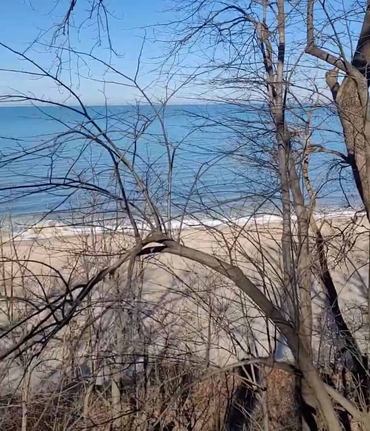5 Magical Things to Do in Winter in Harbor Country Michigan | My ...