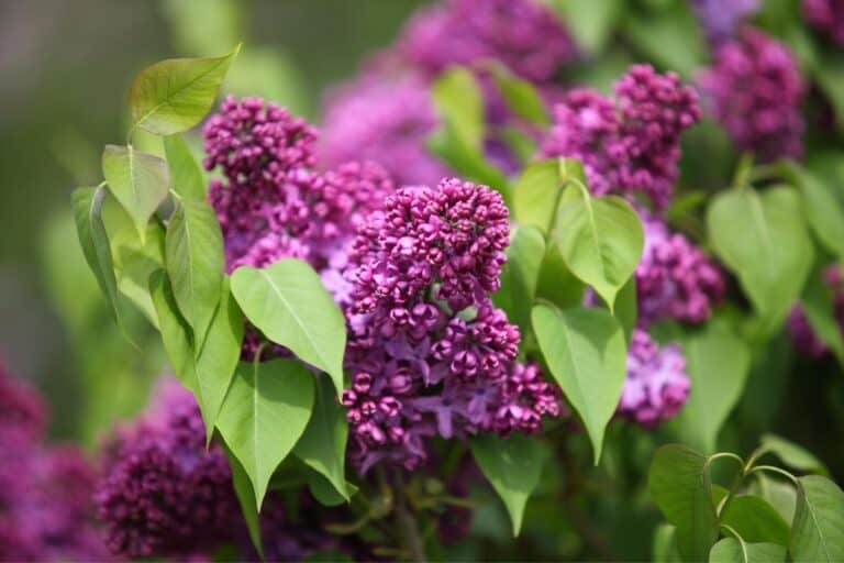 20 Amazing Spring Things to Do in Northern Michigan | My Michigan Beach ...