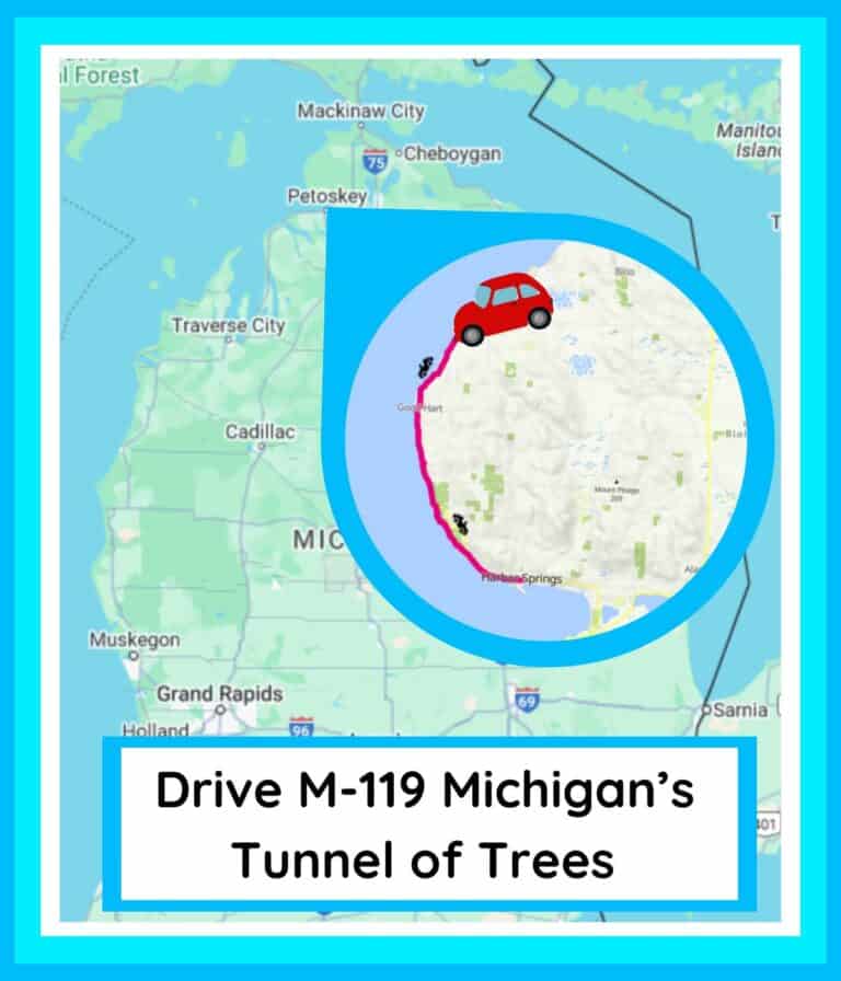 Discover Michigan's M-119 Tunnel of Trees: A Scenic Drive Guide | My ...