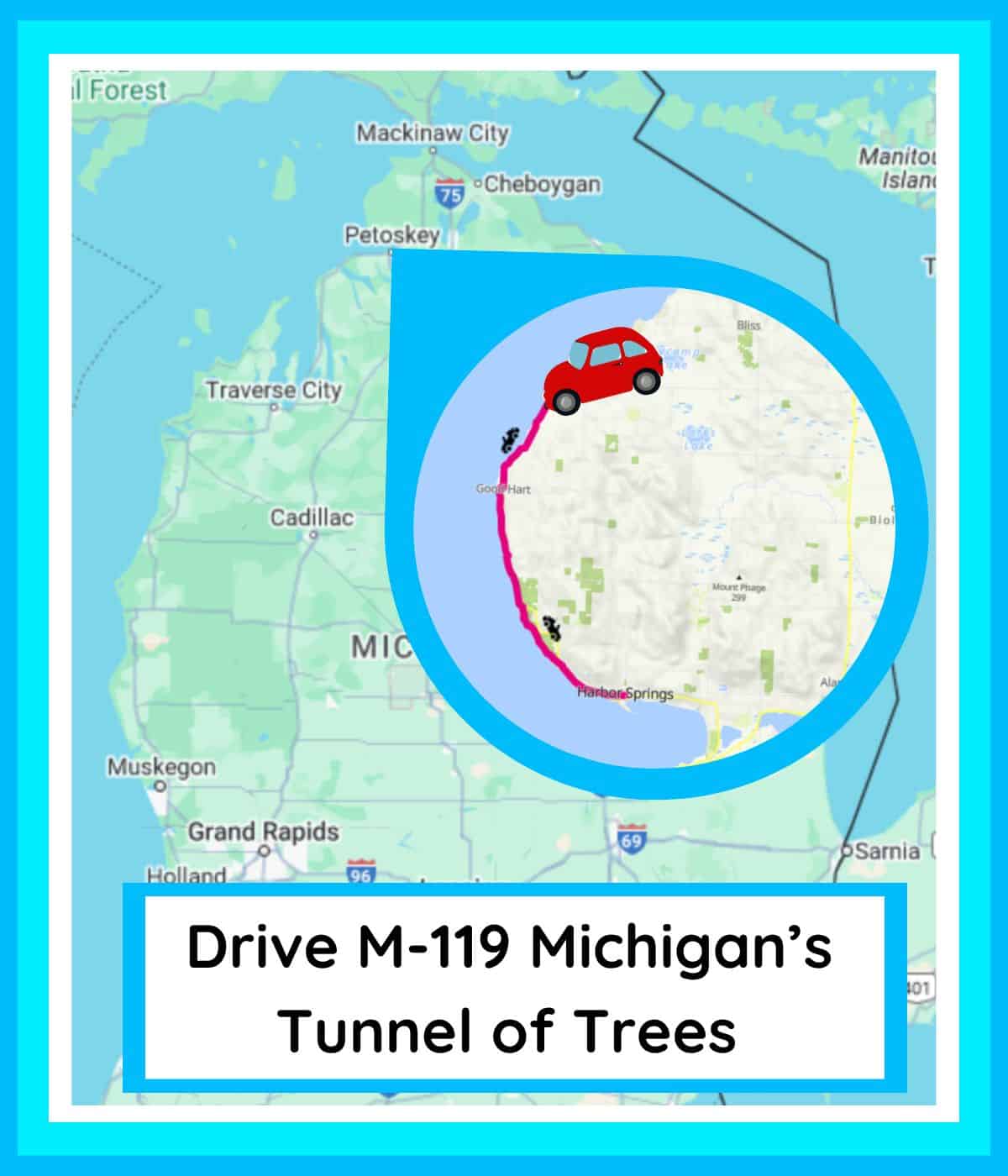 Michigan Tunnel of Trees: M-119 Scenic Drive Guide (2026) | My Michigan ...