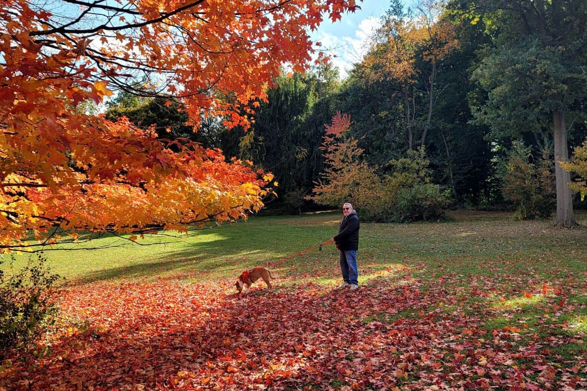 See Fall Color in Southeast Michigan: 5 Amazing Places to Catch the ...