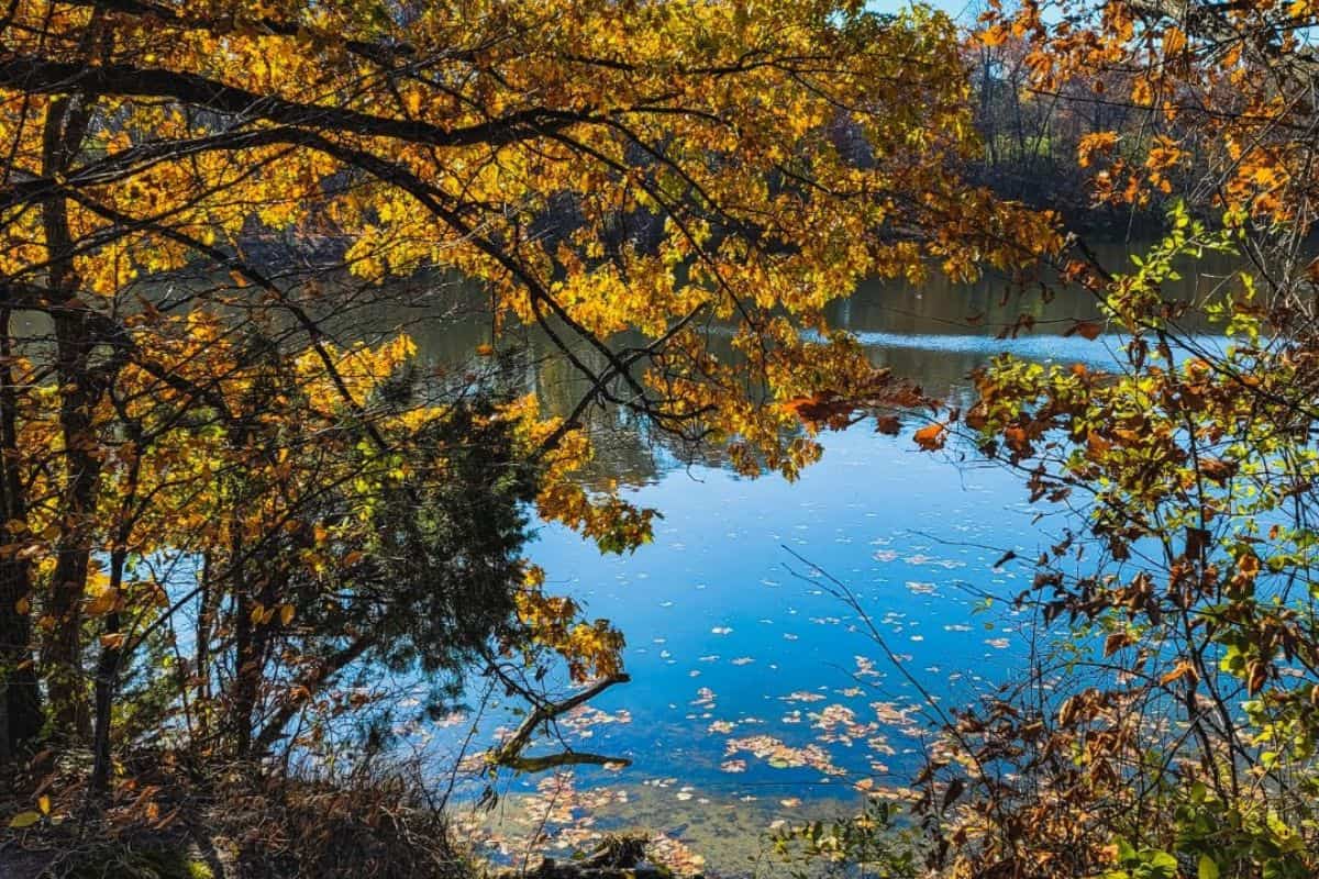 See Fall Color in Southeast Michigan: 5 Amazing Places to Catch the ...