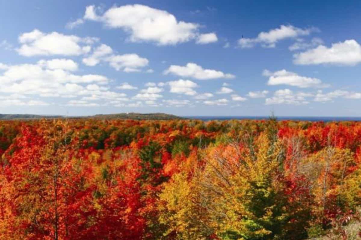 Michigan Fall Bucket List: The Best Things to Do This Autumn | My ...