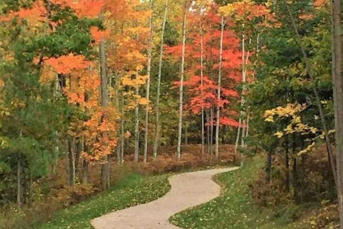 Michigan Fall Bucket List: The Best Things to Do This Autumn | My ...