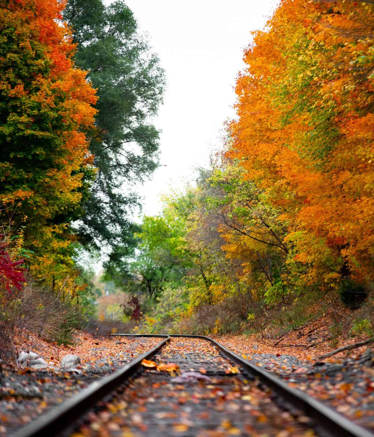 Michigan Fall Bucket List: The Best Things to Do This Autumn | My ...