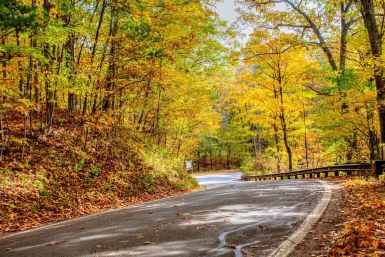 Michigan Fall Bucket List: The Best Things to Do This Autumn | My ...