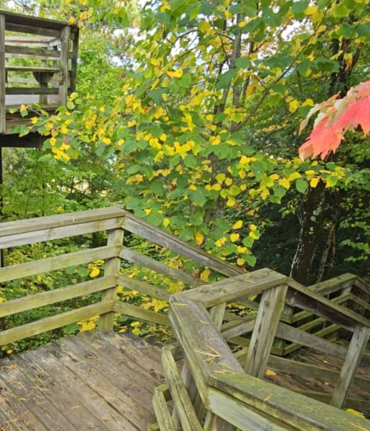Iargo Springs, Oscoda: 300 Steps to Clear Springs & Au Sable River ...